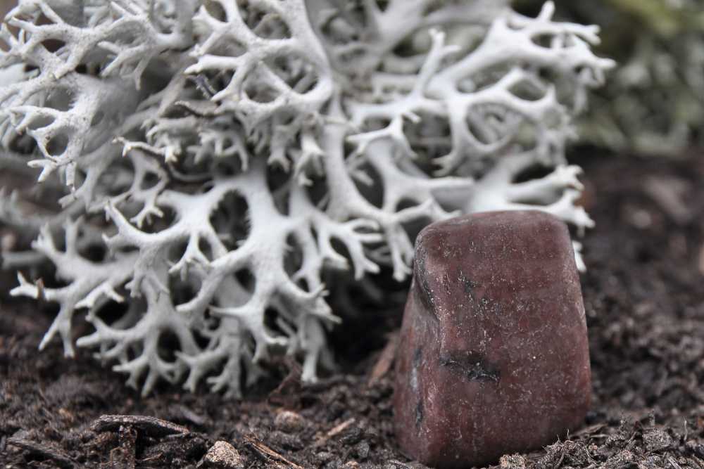 45 Brown Gemstones & Crystals: Names, Properties, & Facts