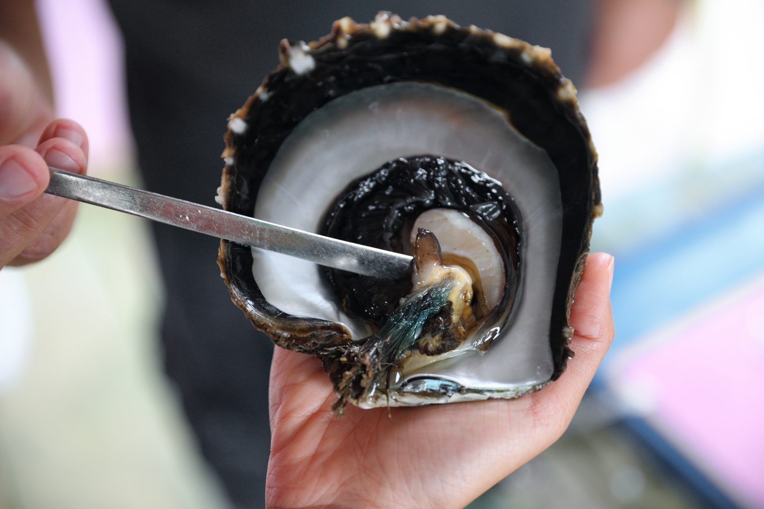 Tahitian Pearls: Everything You Need to Know About These Oceanic Gems
