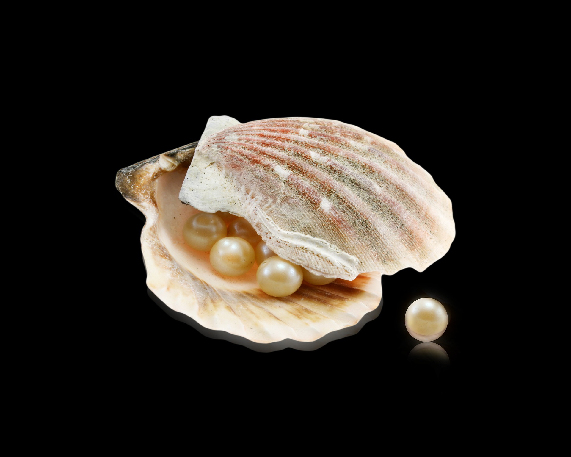 Akoya Pearls: Grading, Quality & Questions Answered