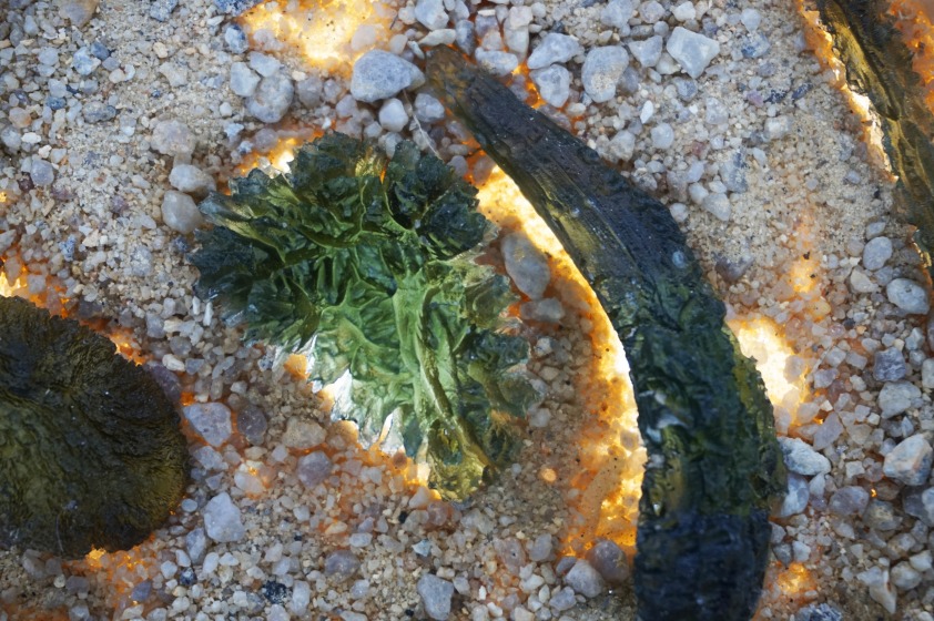 Moldavite History: An In-Depth Look Into The Origins Of Moldavite