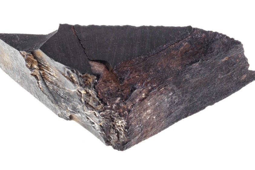 Jet Stone: Meaning, Properties, Facts and More