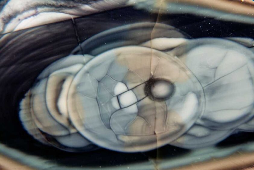 Ultimate Guide to Jasper Stone: Meanings, Properties, Facts and More